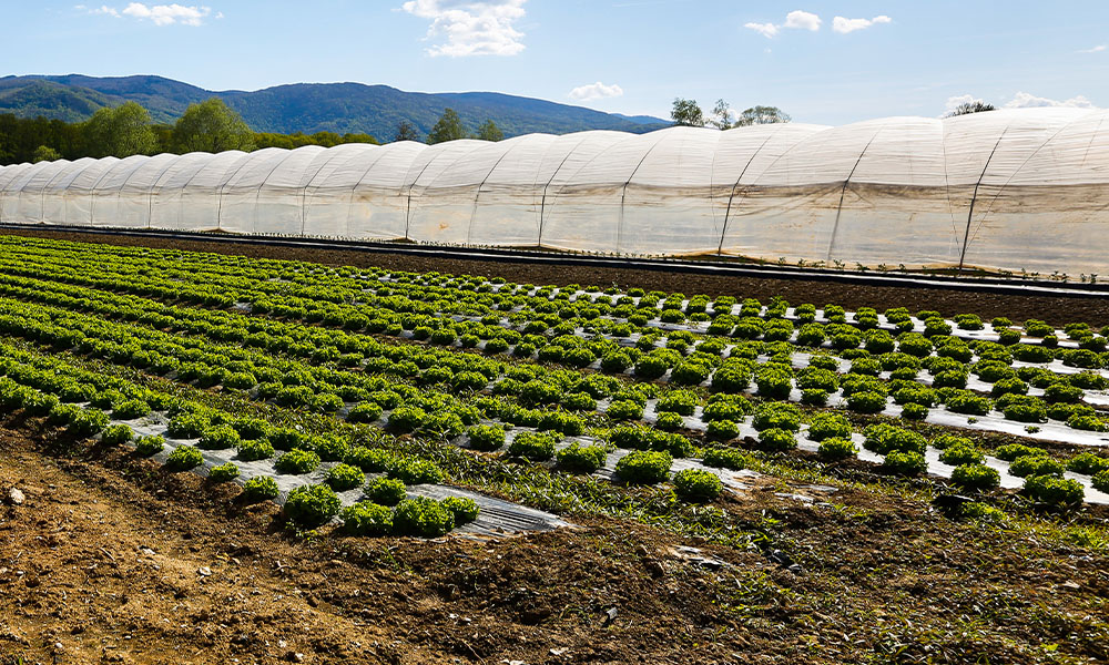 Axia Plastics in Europe - Axia Plastics Europe